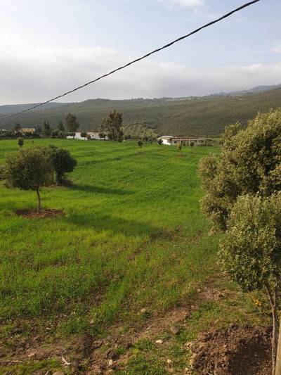 Ventes Terrains Maroc | De Particulier à Particulier - PAP