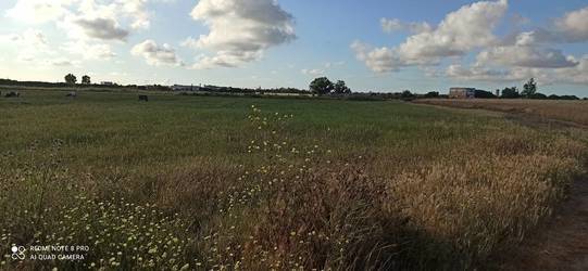 Vente Terrain Maroc | De Particulier à Particulier - PAP